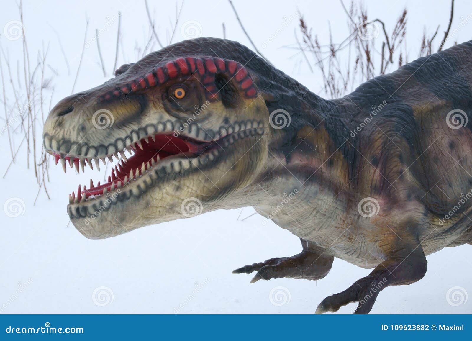 Dinosaur in snow stock photo. Image of theme, city, february - 109623882