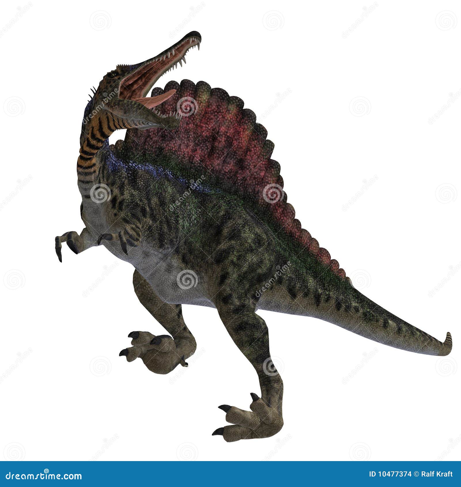 Dinosaur Spinosaurus Cartoon Vector | CartoonDealer.com #76575085