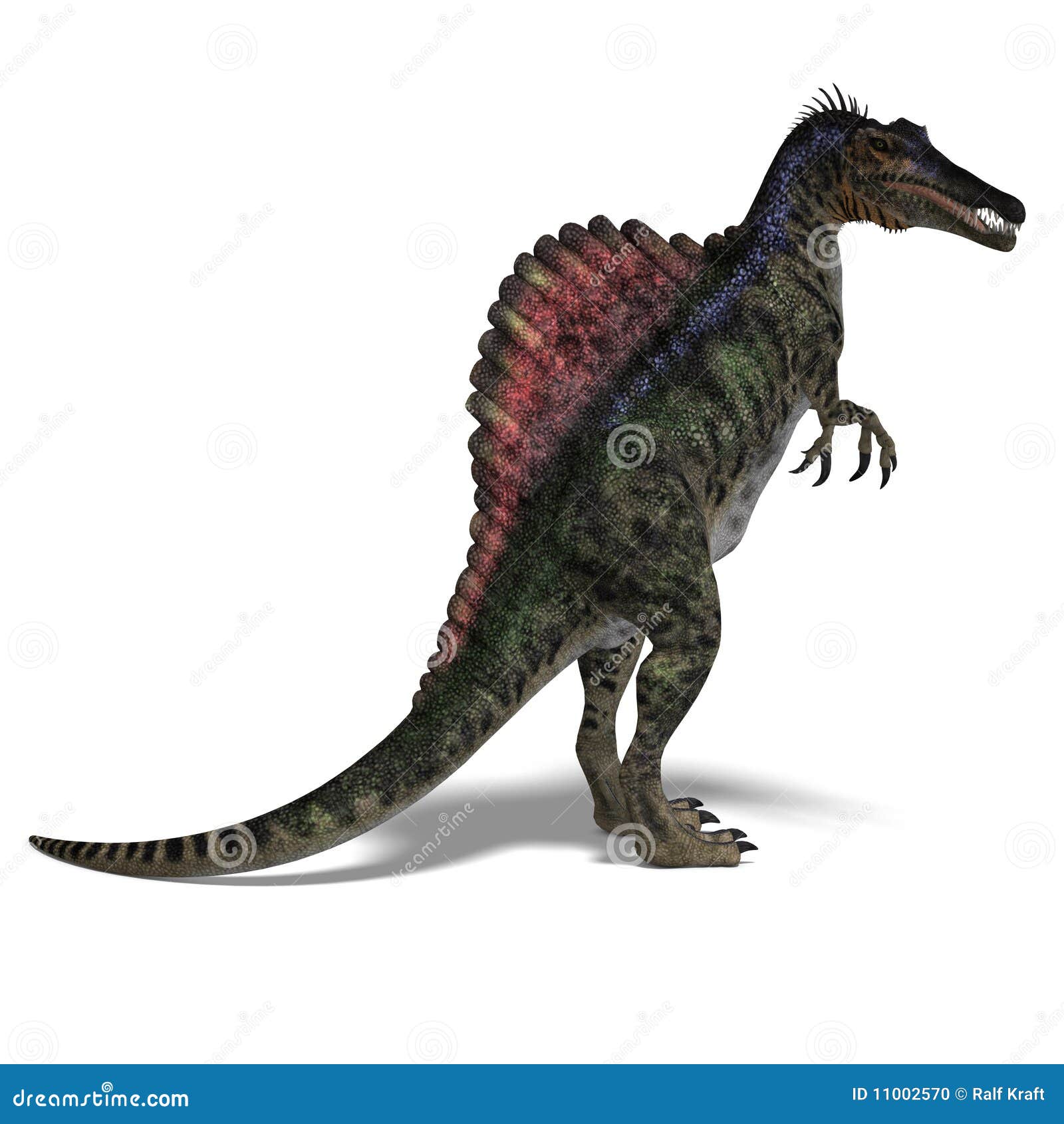 Dinosaur Spinosaurus stock illustration. Illustration of spinosauridae ...