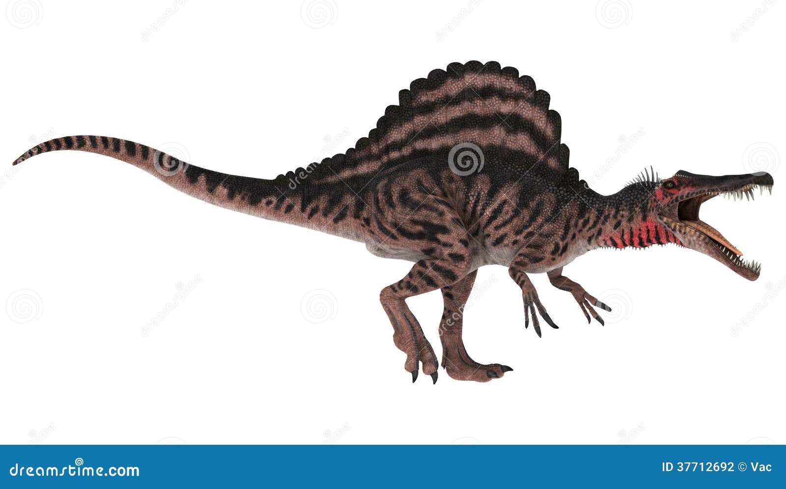 Dinosaur Spinosaurus Stock Photography - Image: 37712692
