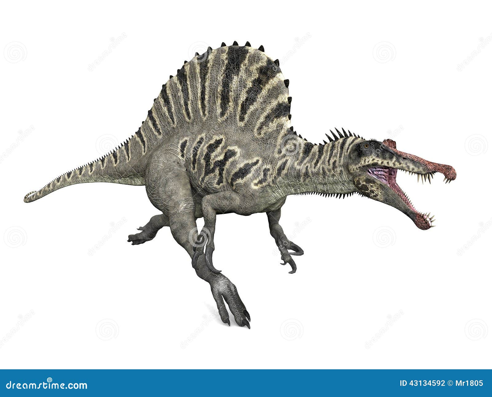 Spinosaurus Big Dangerous Dino Dinosaur Cartoon Vector | CartoonDealer ...