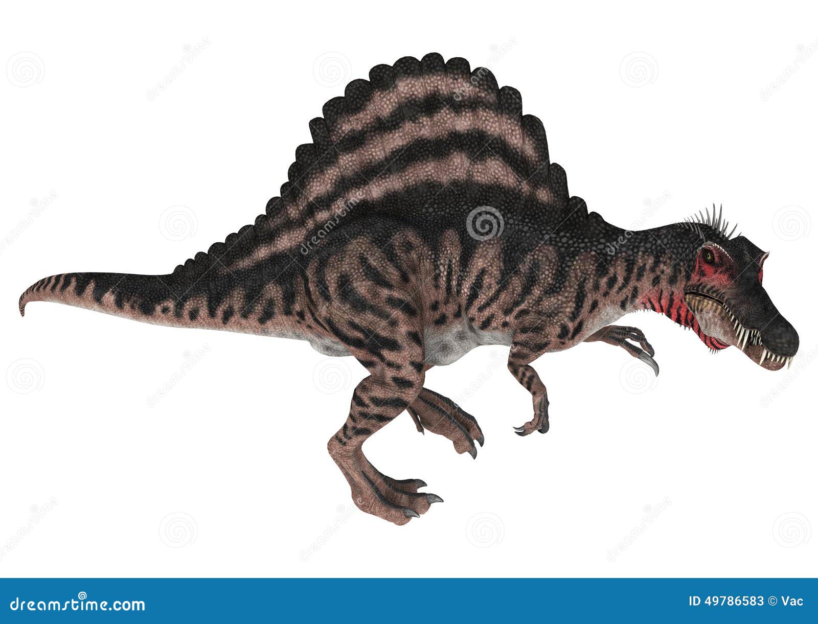Dinosaur Spinosaurus stock illustration. Illustration of jaws - 49786583