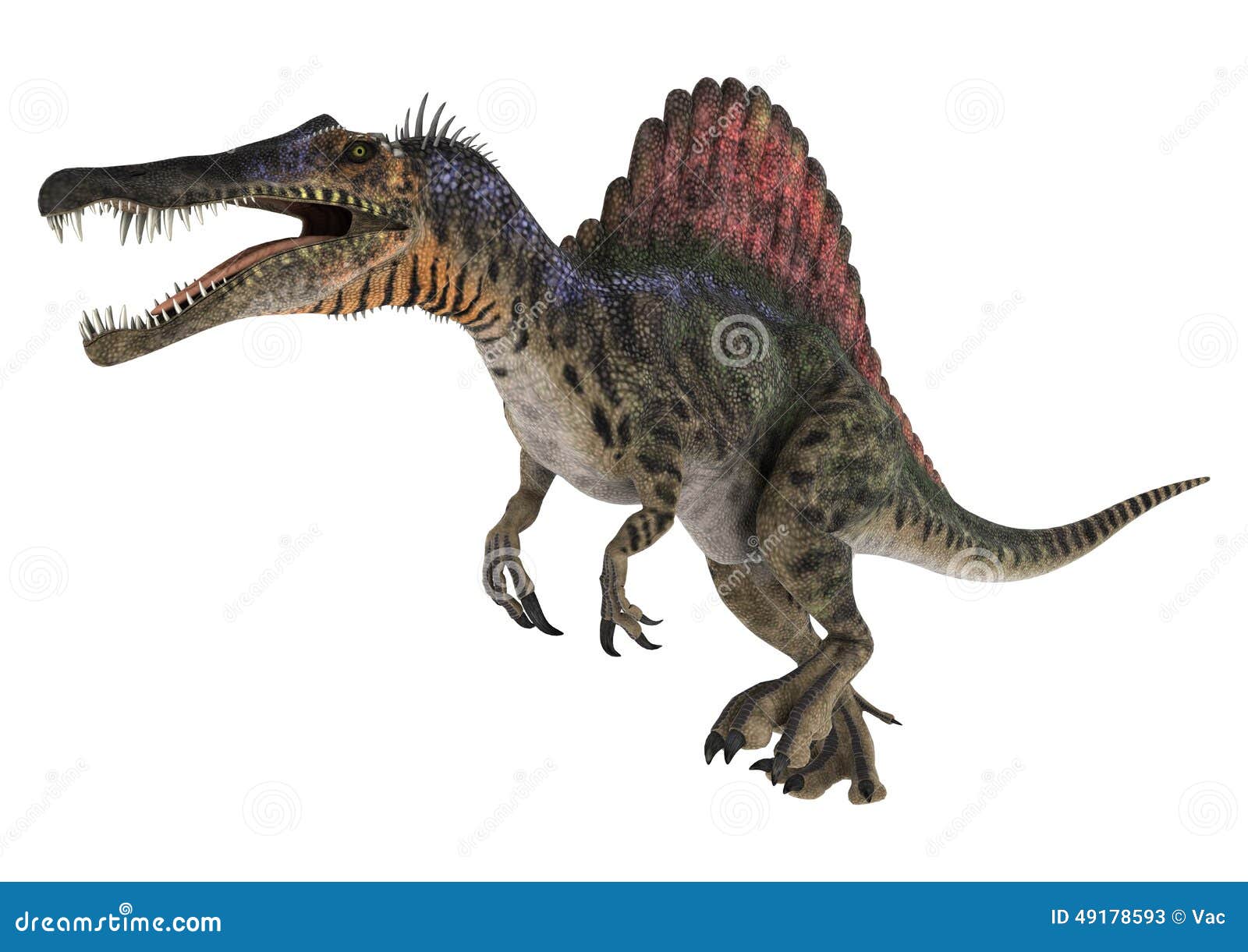 Spiny Teeth Stock Illustrations – 78 Spiny Teeth Stock Illustrations ...