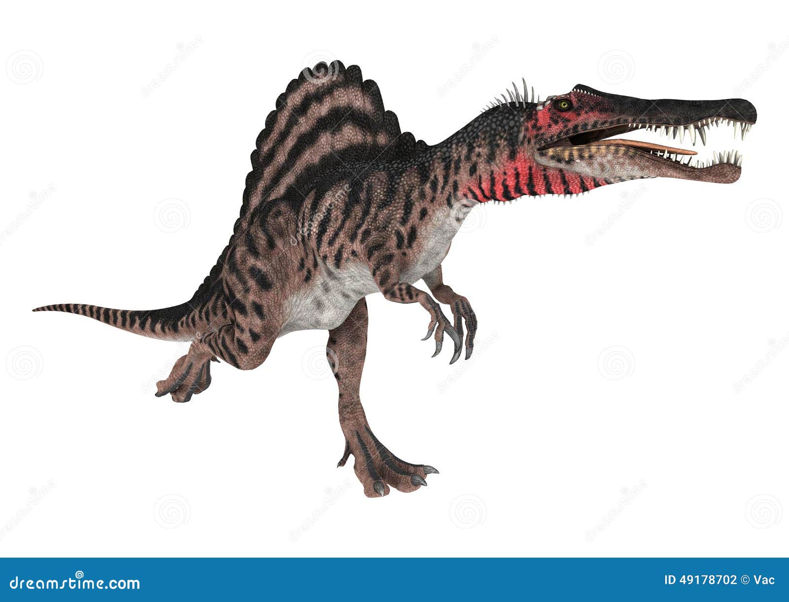 Dinosaur Spinosaurus Stock Photography | CartoonDealer.com #49178702