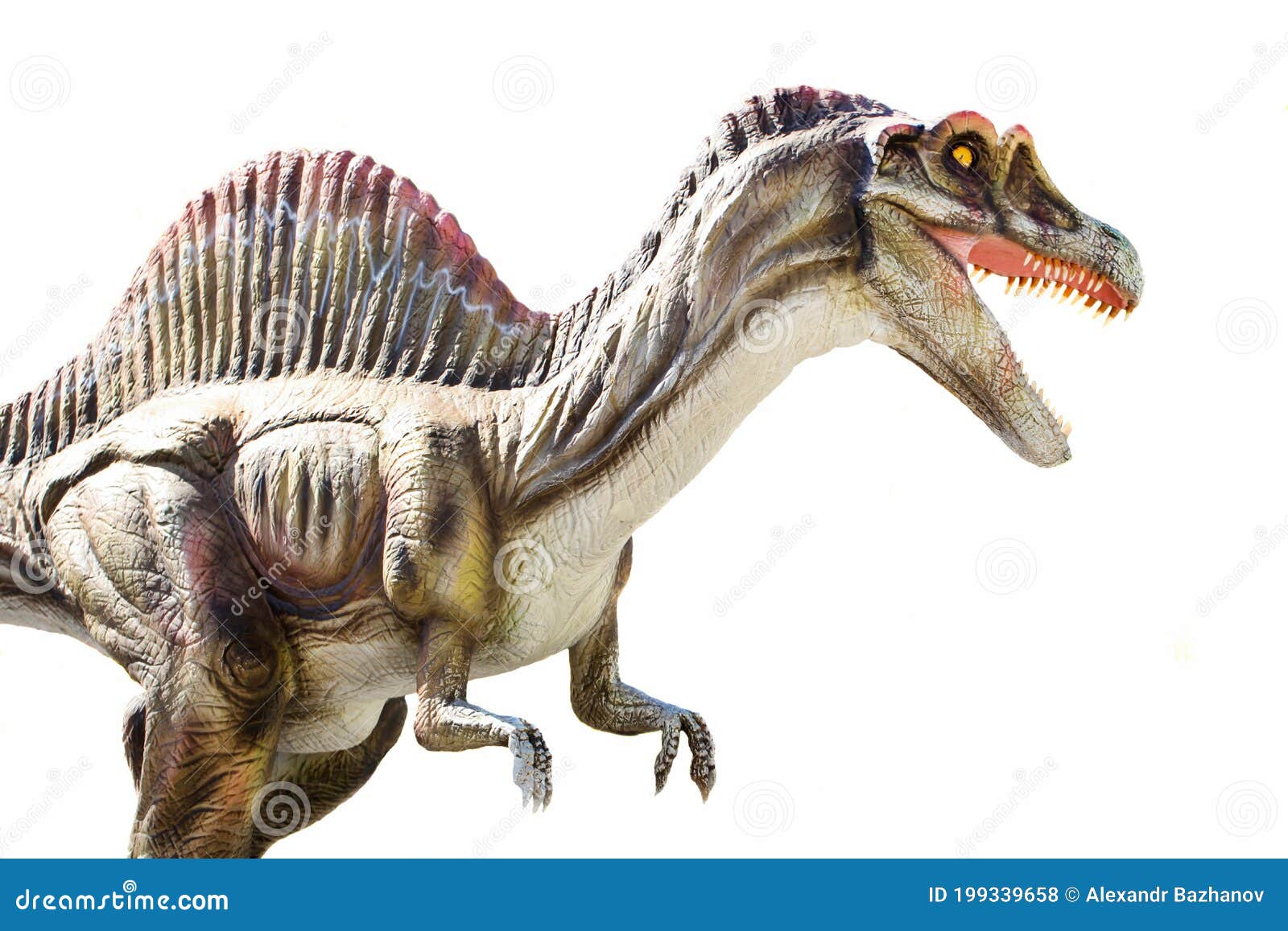 Dinosaur Spinosaurus with Open Mouth Stock Photo - Image of brown ...