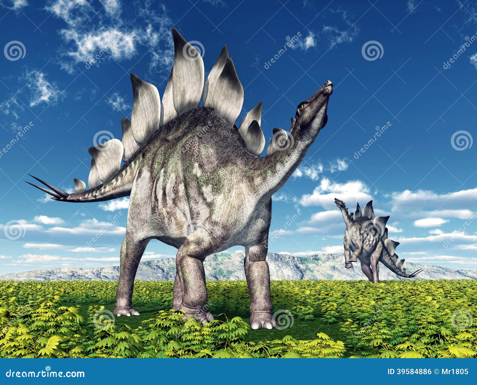 Dinosaur Stegosaurus Icon In Cartoon Style Isolated On White Background ...