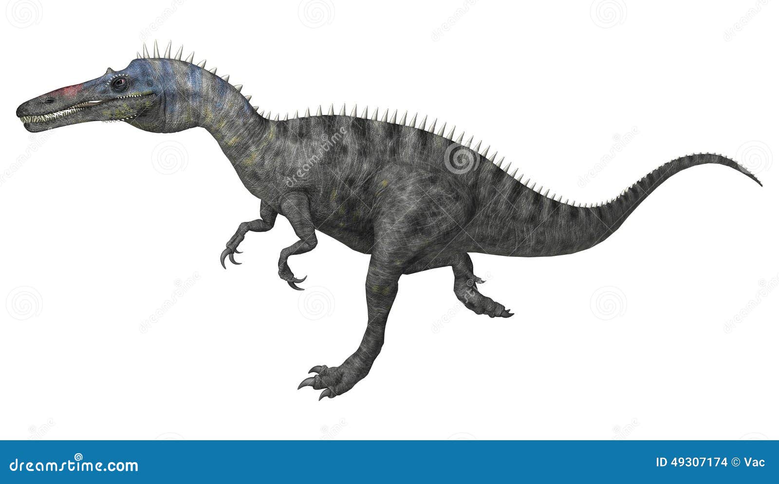 Dinosaur Suchomimus Royalty-Free Stock Image | CartoonDealer.com #49785208