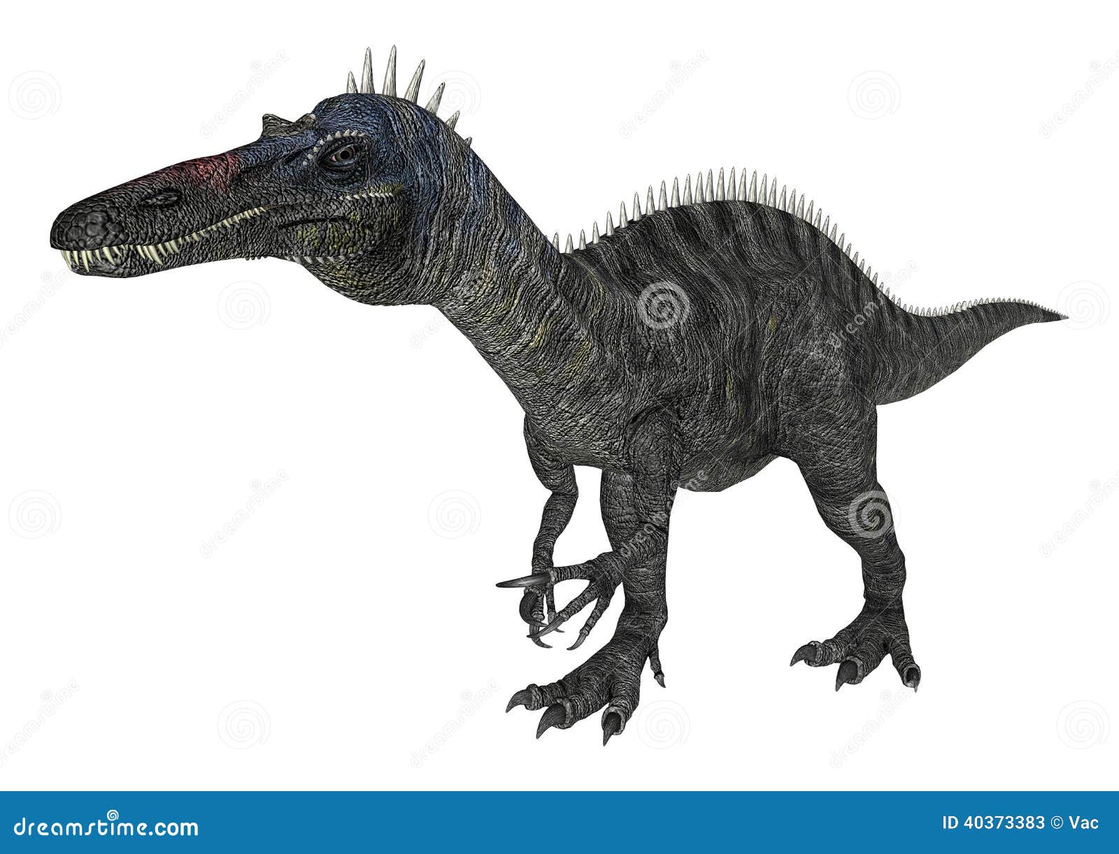 Dinosaur Suchomimus Royalty-Free Stock Image | CartoonDealer.com #49785208