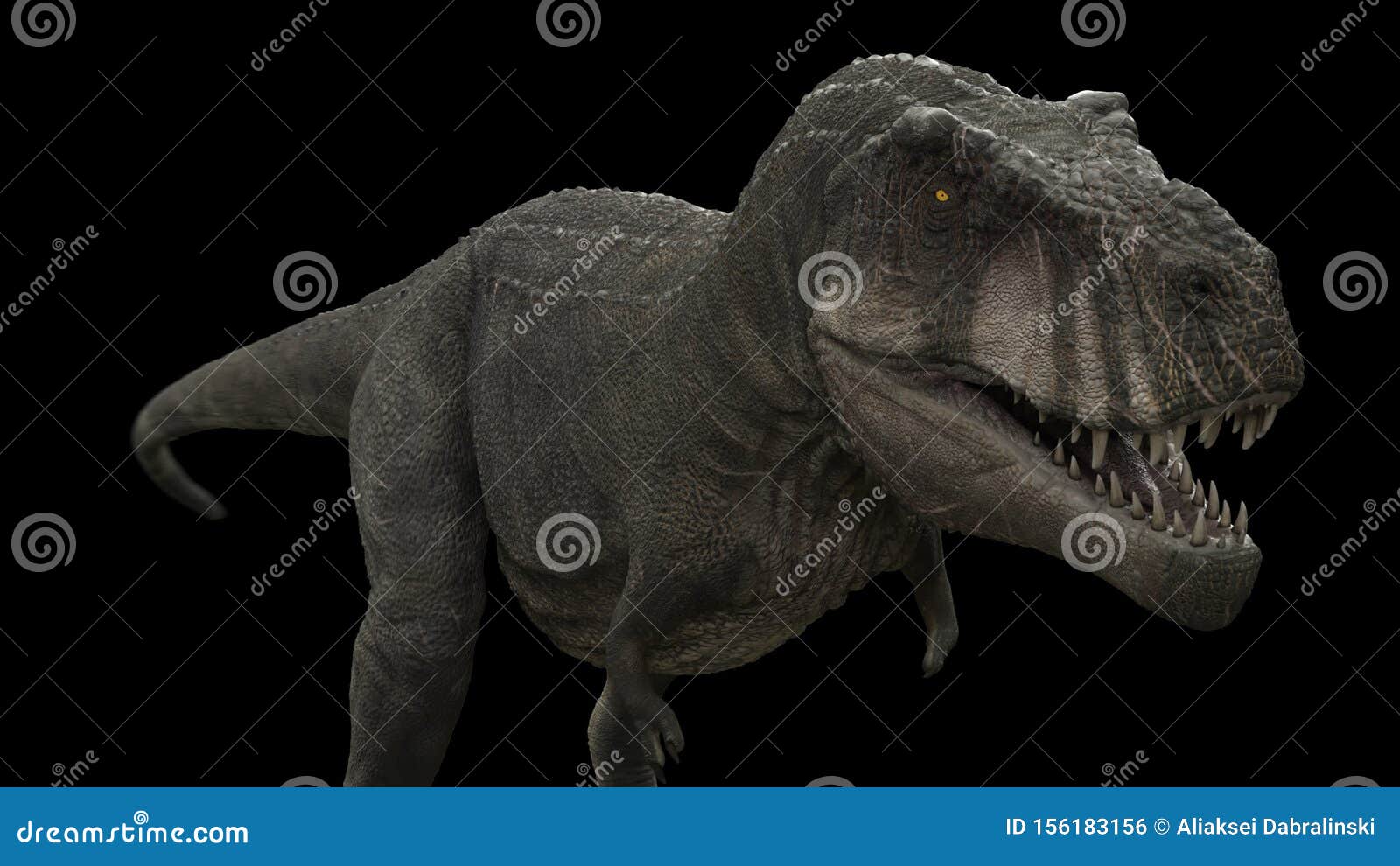 Dinosaur T-Rex Loop Walking with Alpha Channel Stock Footage - Video of ...