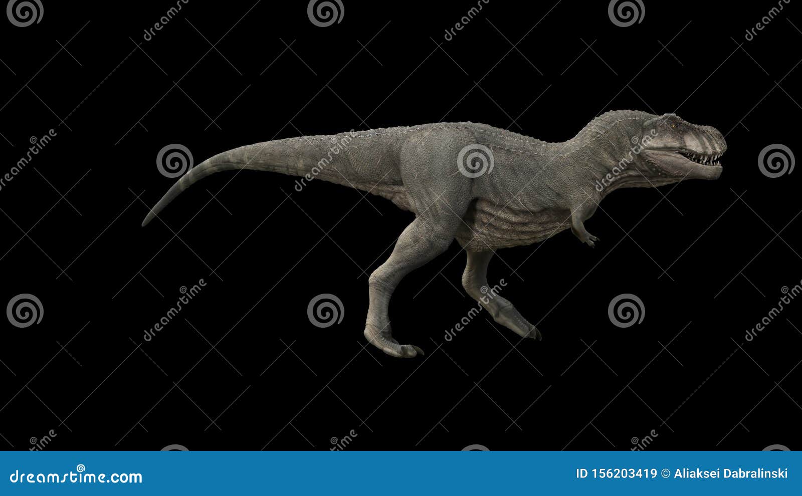 Dinosaur T-Rex Loop Walking with Alpha Channel Stock Video - Video of ...