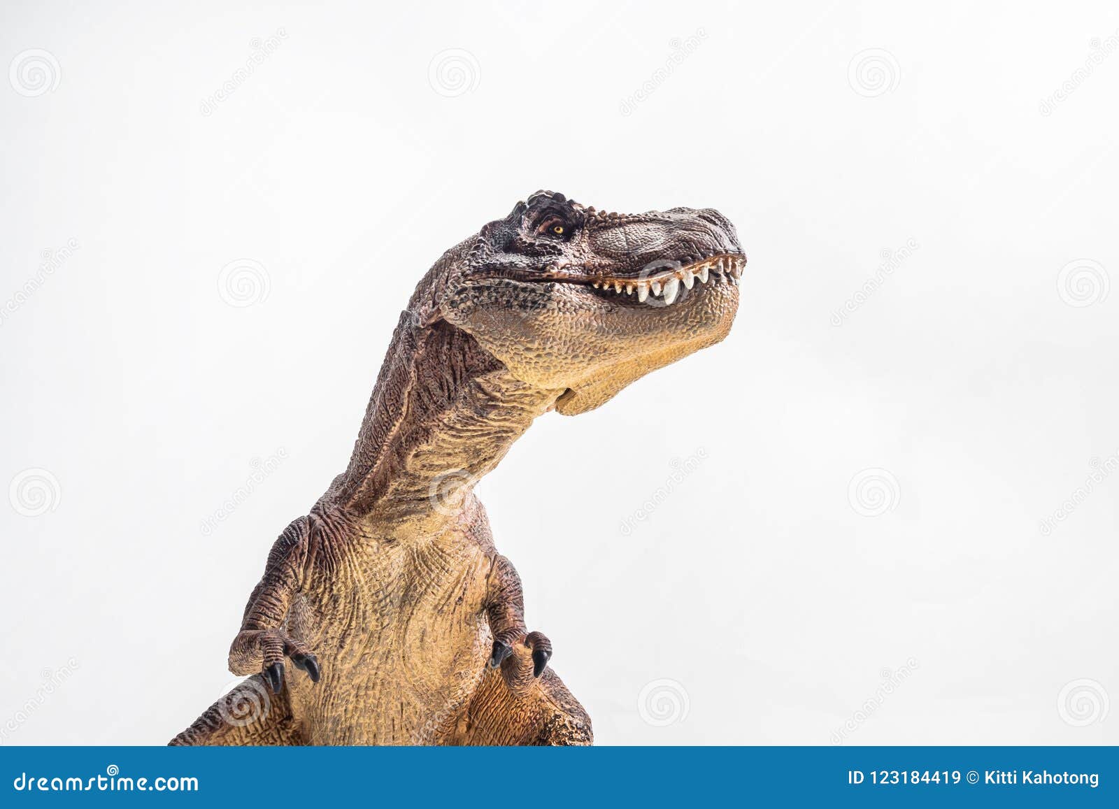 Dinosaur , T-rex , Tyrannosaurus on White Background Stock Image ...