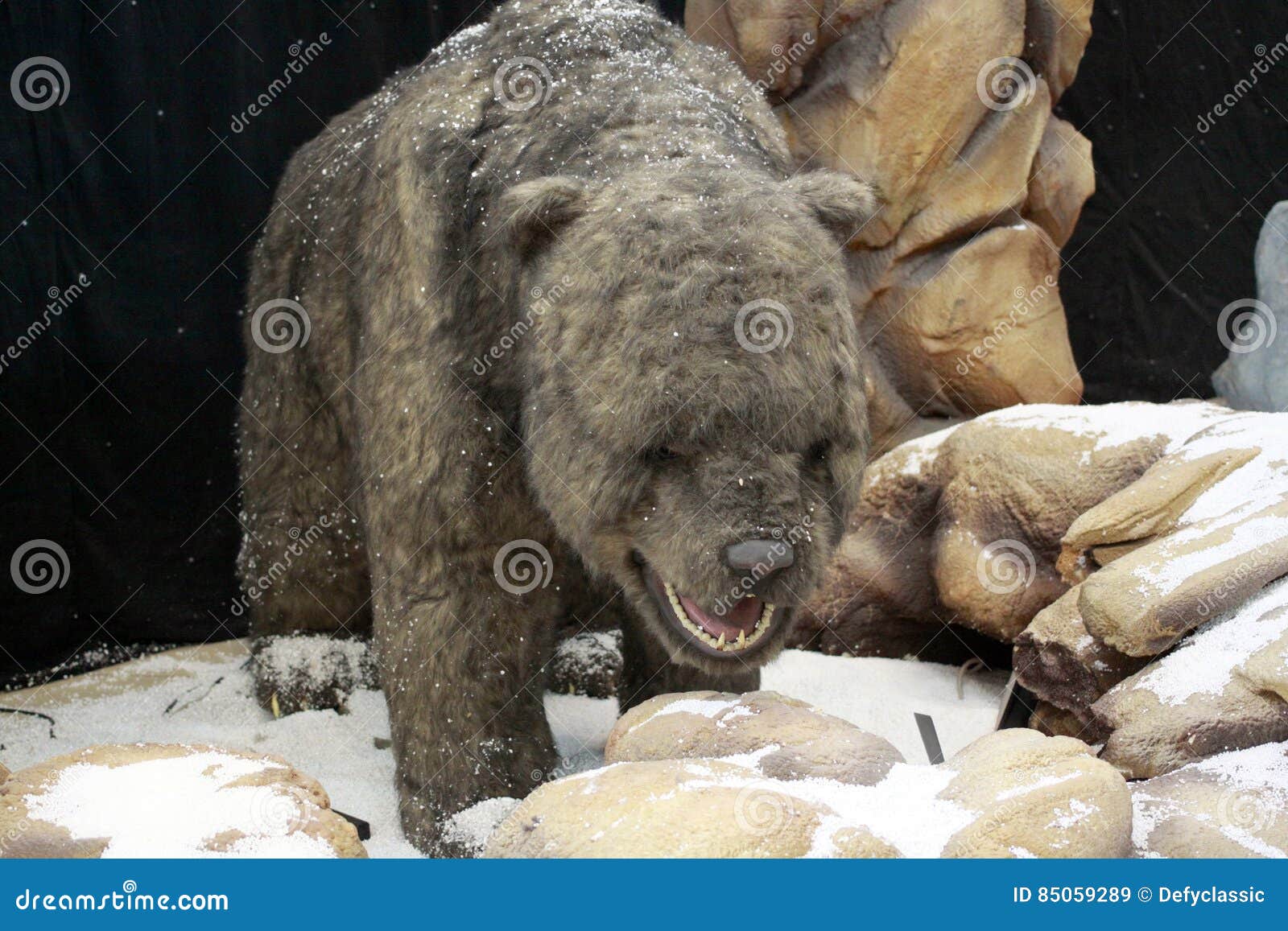 Ursus spelaeus cave bear stock image. Image of cave, bear - 85059289