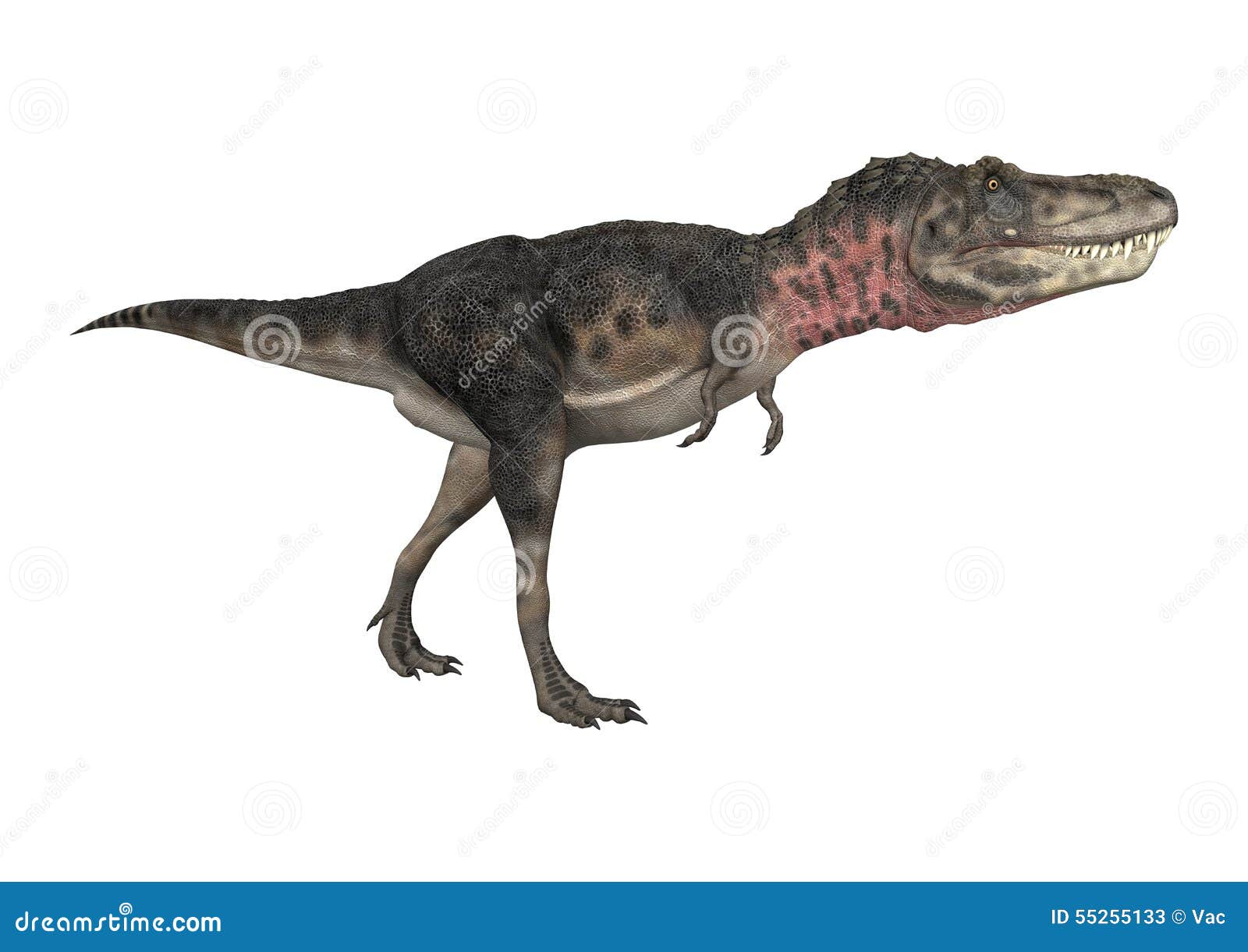 Dinosaur Tarbosaurus stock illustration. Illustration of died - 55255133