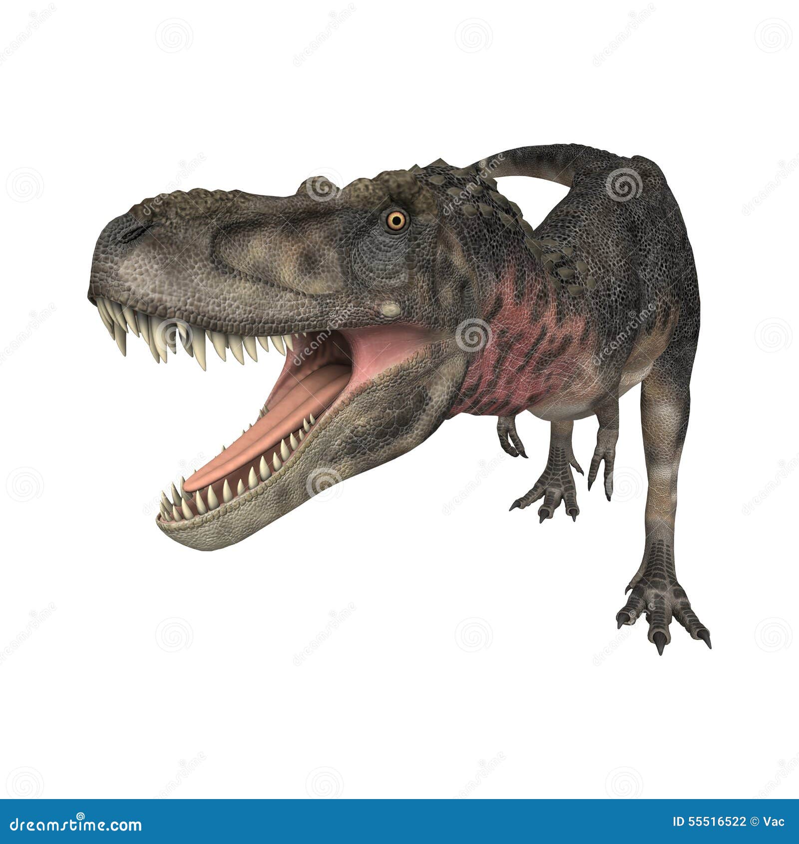 Dinosaur Tarbosaurus stock illustration. Illustration of animal - 55516522