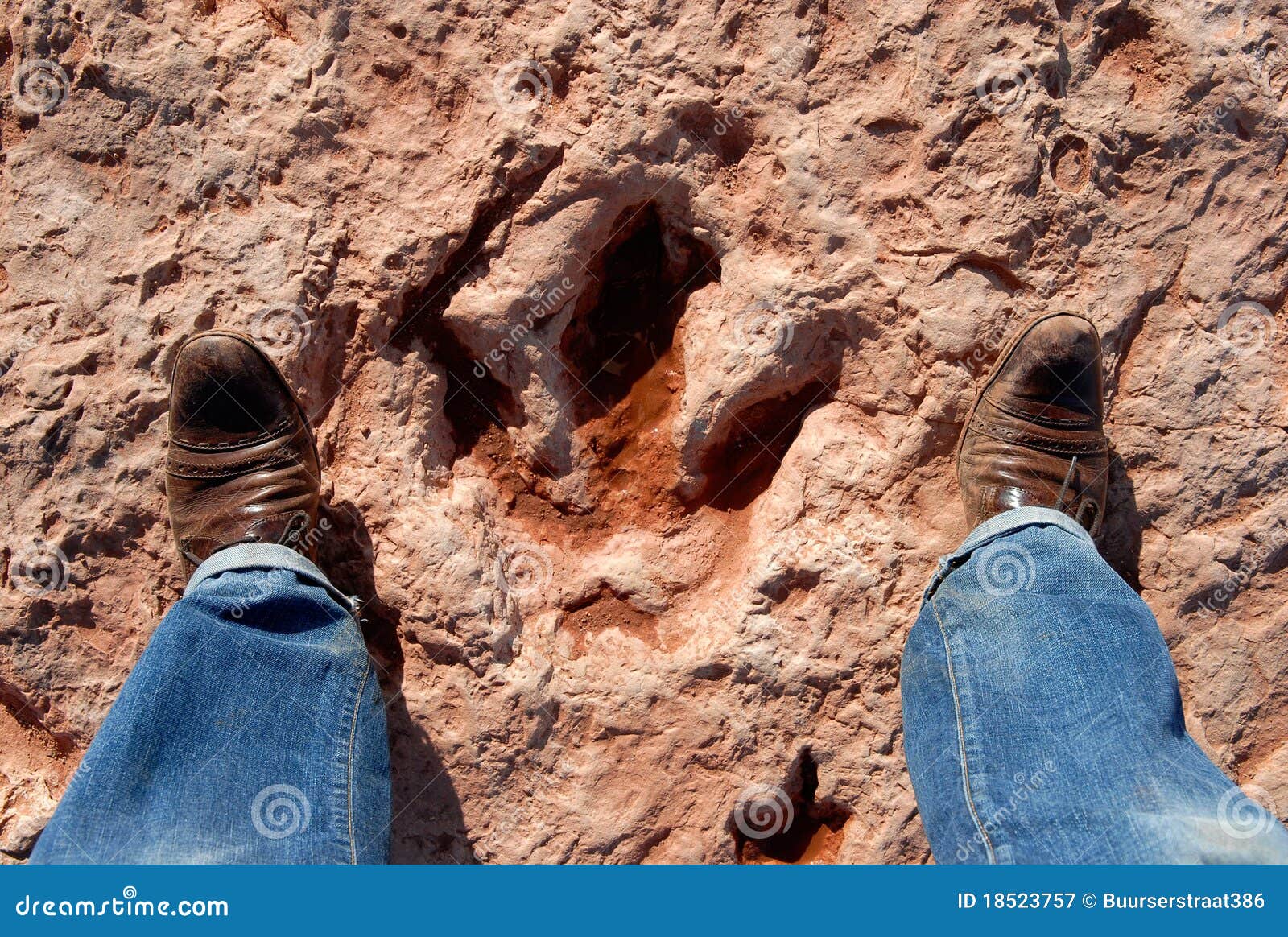 Dinosaur tracks stock image. Image of dinosaur, fossil - 18523757
