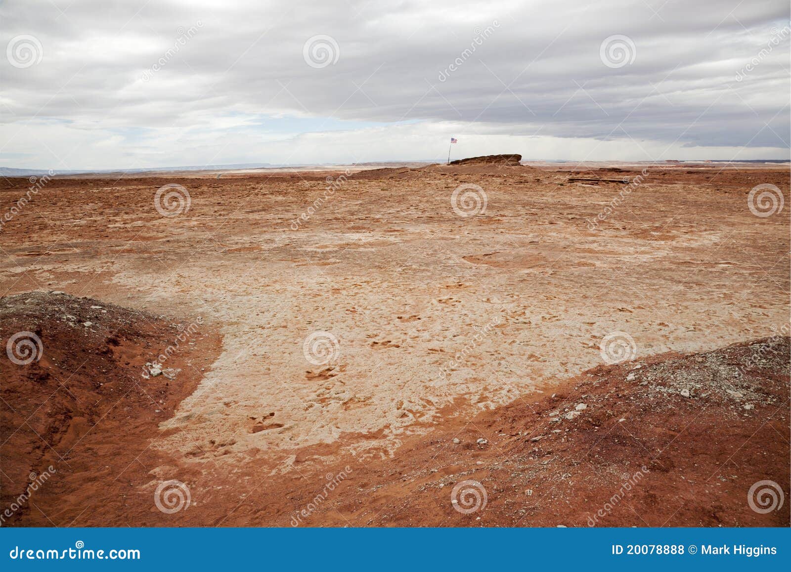 Dinosaur tracks stock photo. Image of fossil, track, national - 20078888