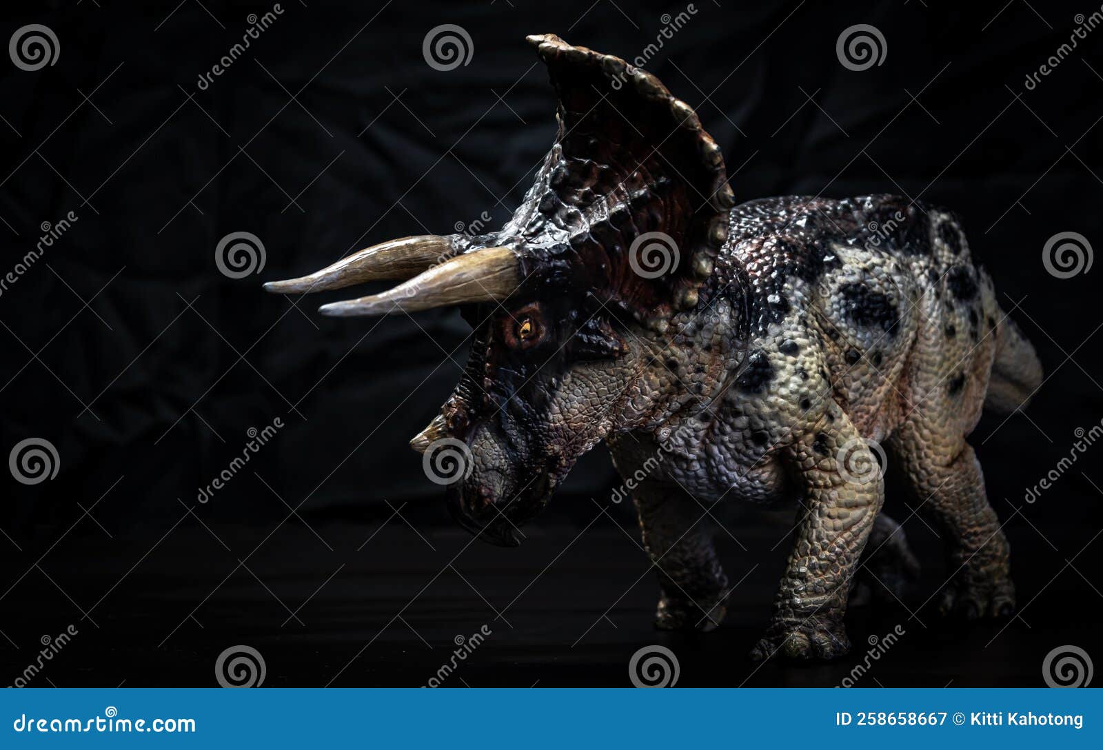 Dinosaur , Triceratops in the Dark Stock Image - Image of cretaceous ...