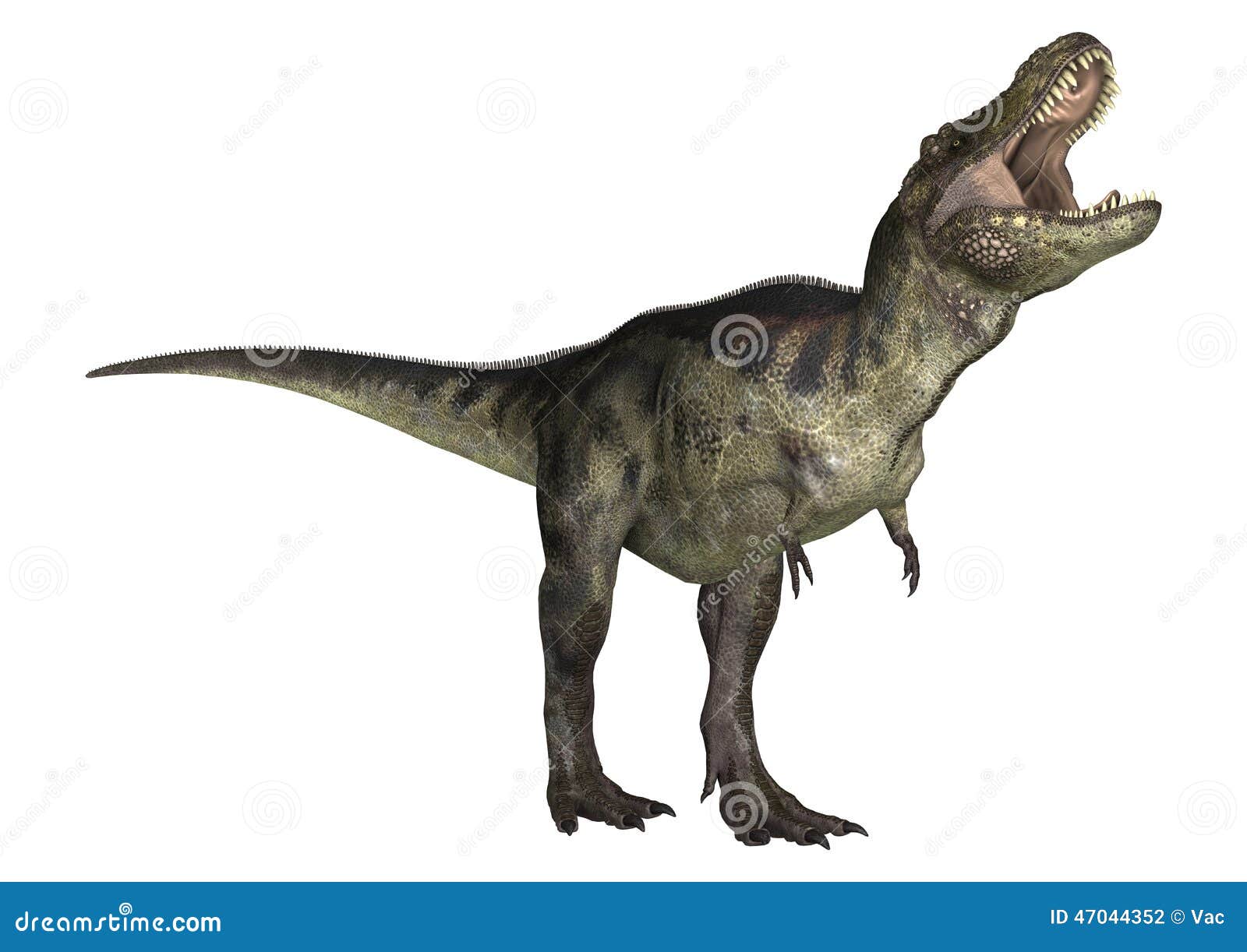 T-Rex Dinosaur, Tyrannosaurus Rex Reptile Roars, Prehistoric Jurassic ...