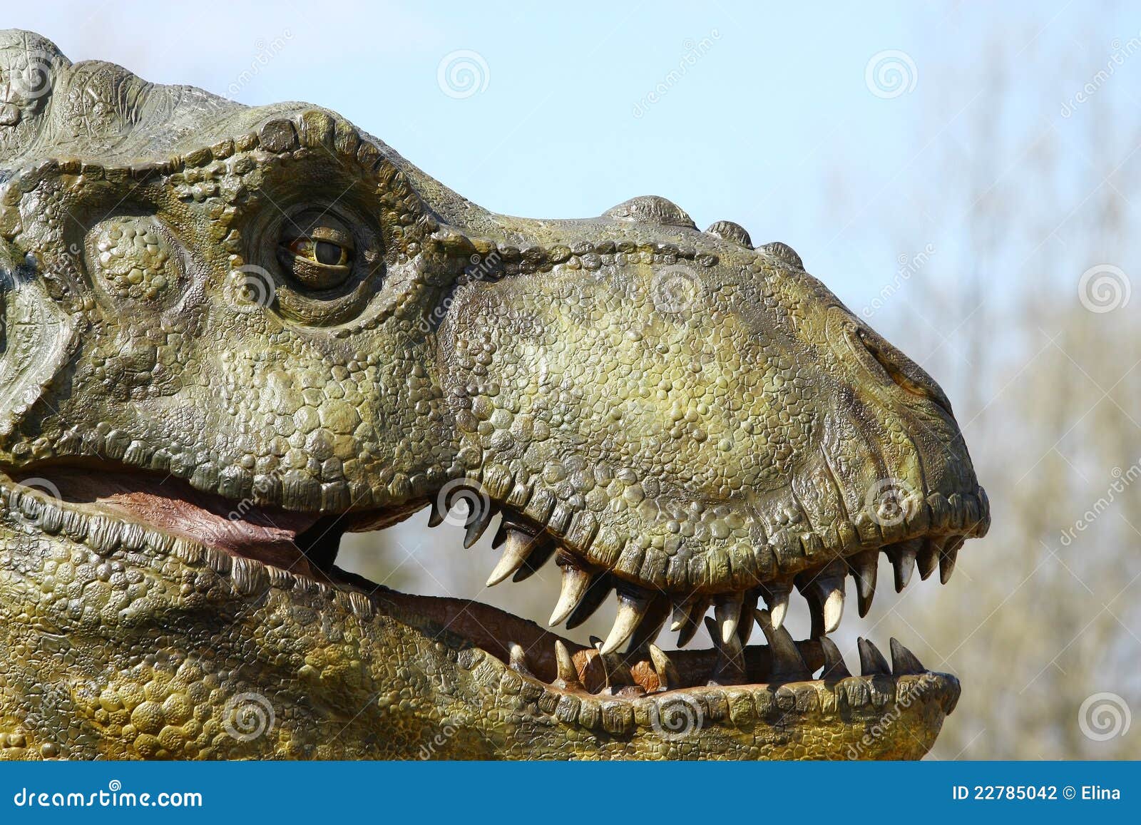 Dinosaur Tyrannosaurus Rex Head Editorial Photography - Image: 22785042