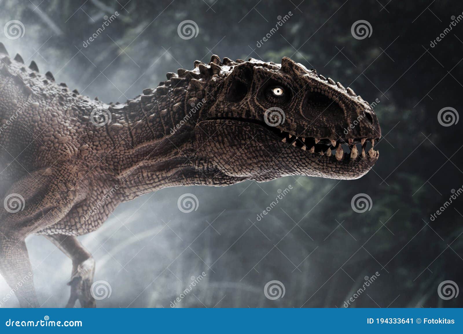 Dinosaur, Tyrannosaurus Rex On Dark Backgrounds Royalty-Free Stock ...