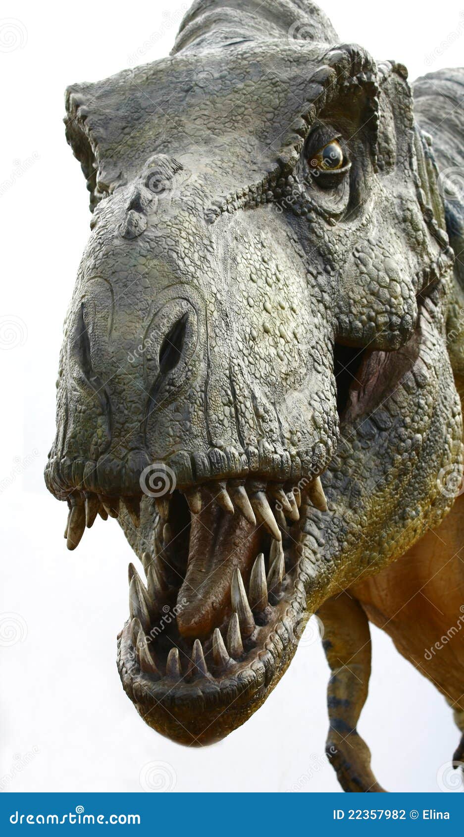 Dinosaur Tyrannosaurus Rex on White Editorial Photography - Image of ...