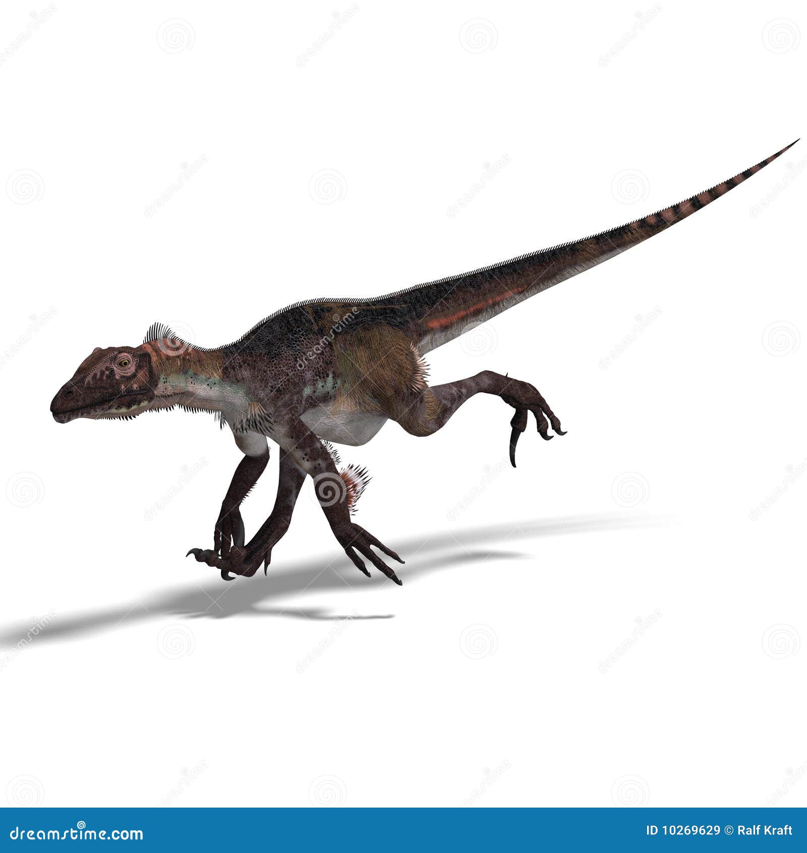 Dinosaur Utahraptor stock illustration. Illustration of running - 10269629