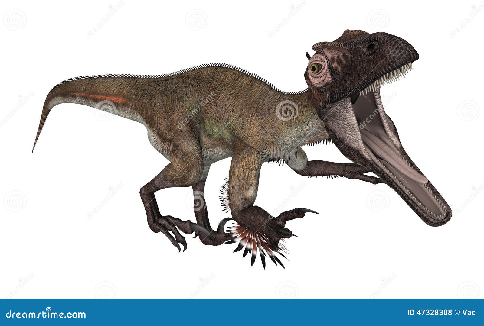 Dinosaur Utahraptor Stock Photography | CartoonDealer.com #47328308