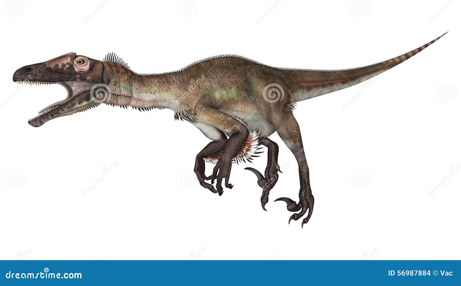 Dinosaur Utahraptor stock illustration. Illustration of creature - 56987884