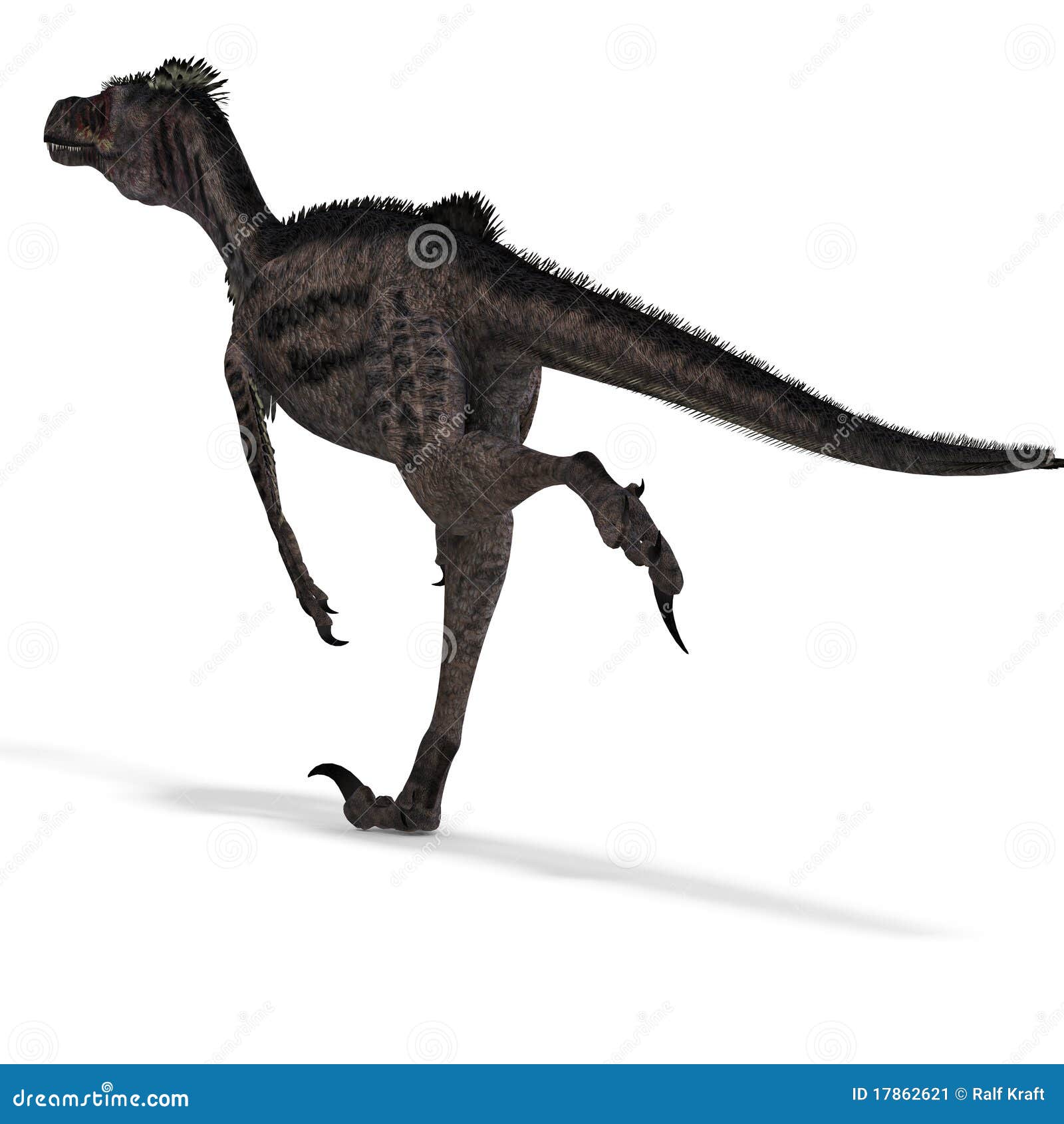 Dinosaur Velociraptor stock illustration. Illustration of osmolskae ...