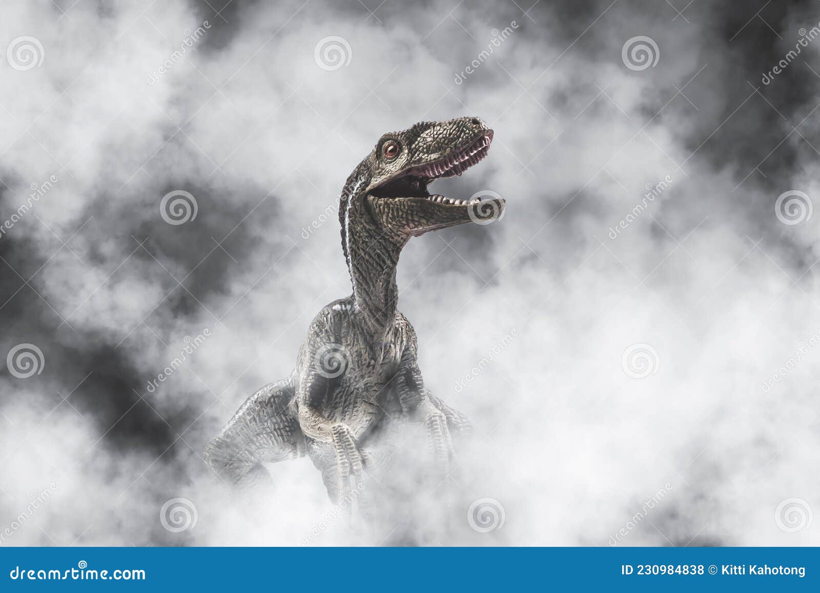 Dinosaur, Velociraptor On Dark Backgrounds Stock Photography ...
