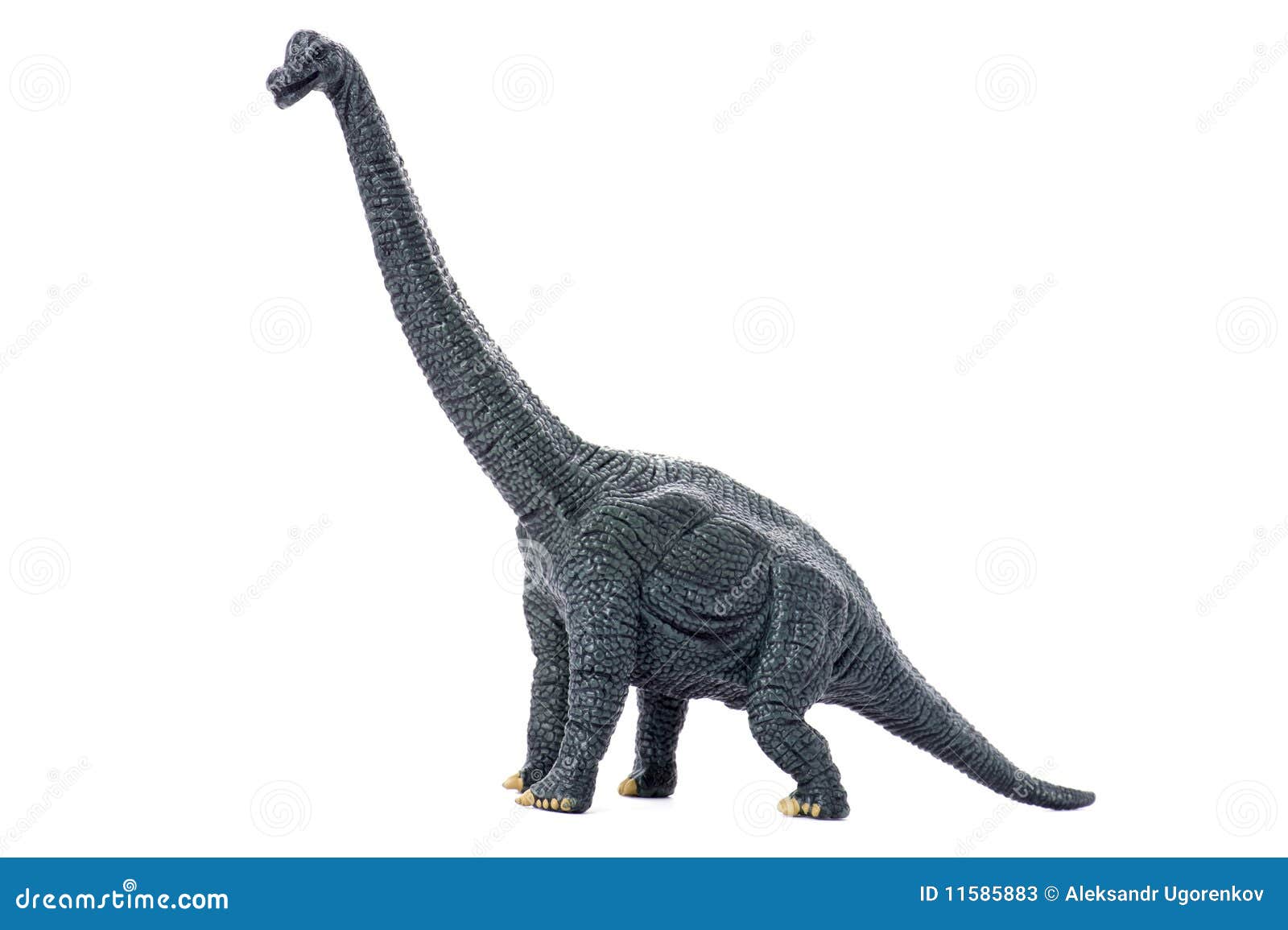 Dinosaur On White Background Stock Photos - Image: 11585883