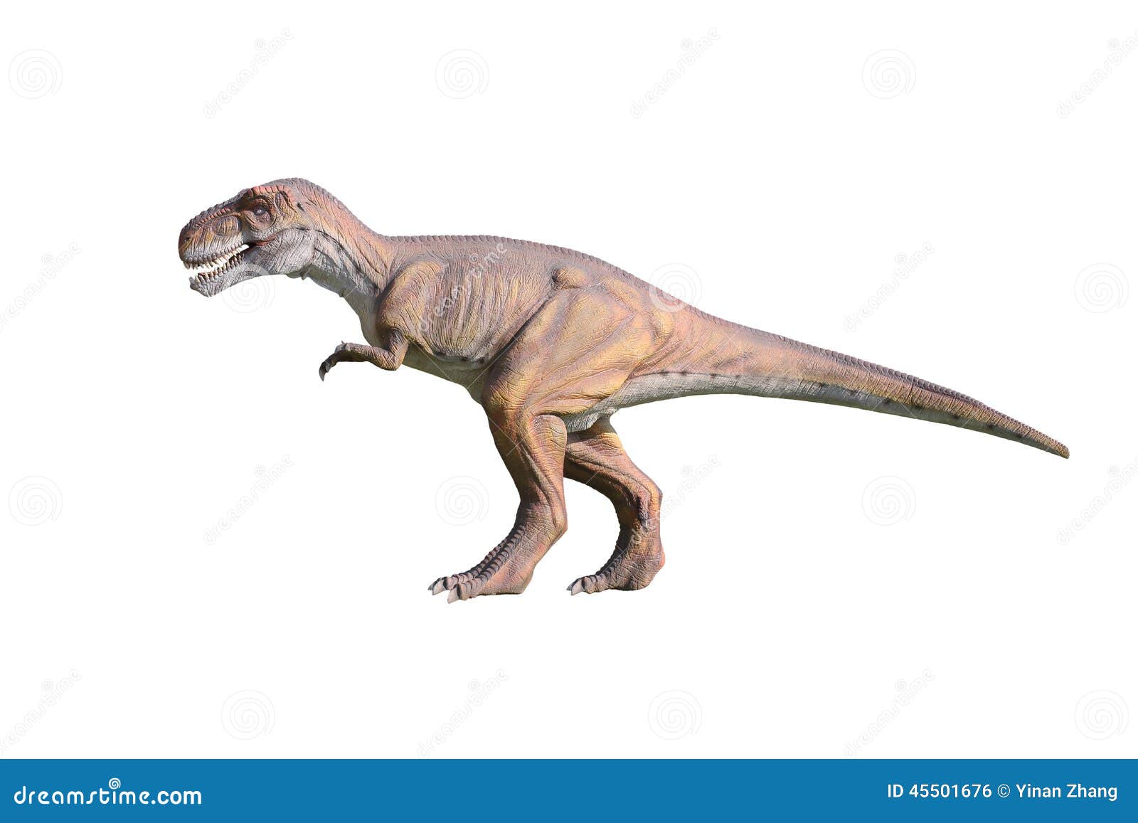 Dinosaur stock photo. Image of side, tyrannosaurus, model - 45501676