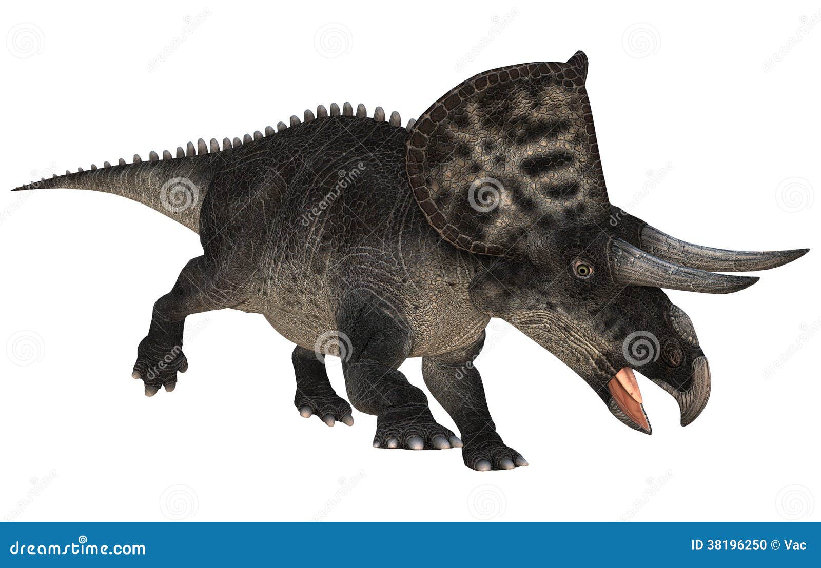 Dinosaur Zuniceratops Royalty-Free Stock Photography | CartoonDealer ...
