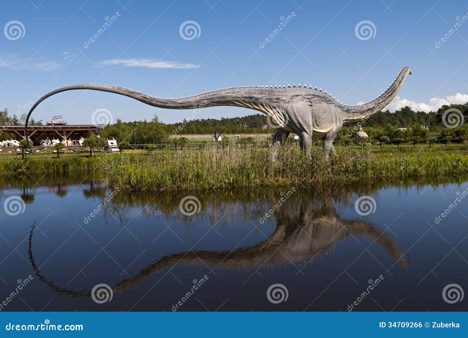 Dinosaurie 10 arkivfoto. Bild av morrande, gammal, skrämma - 34709266