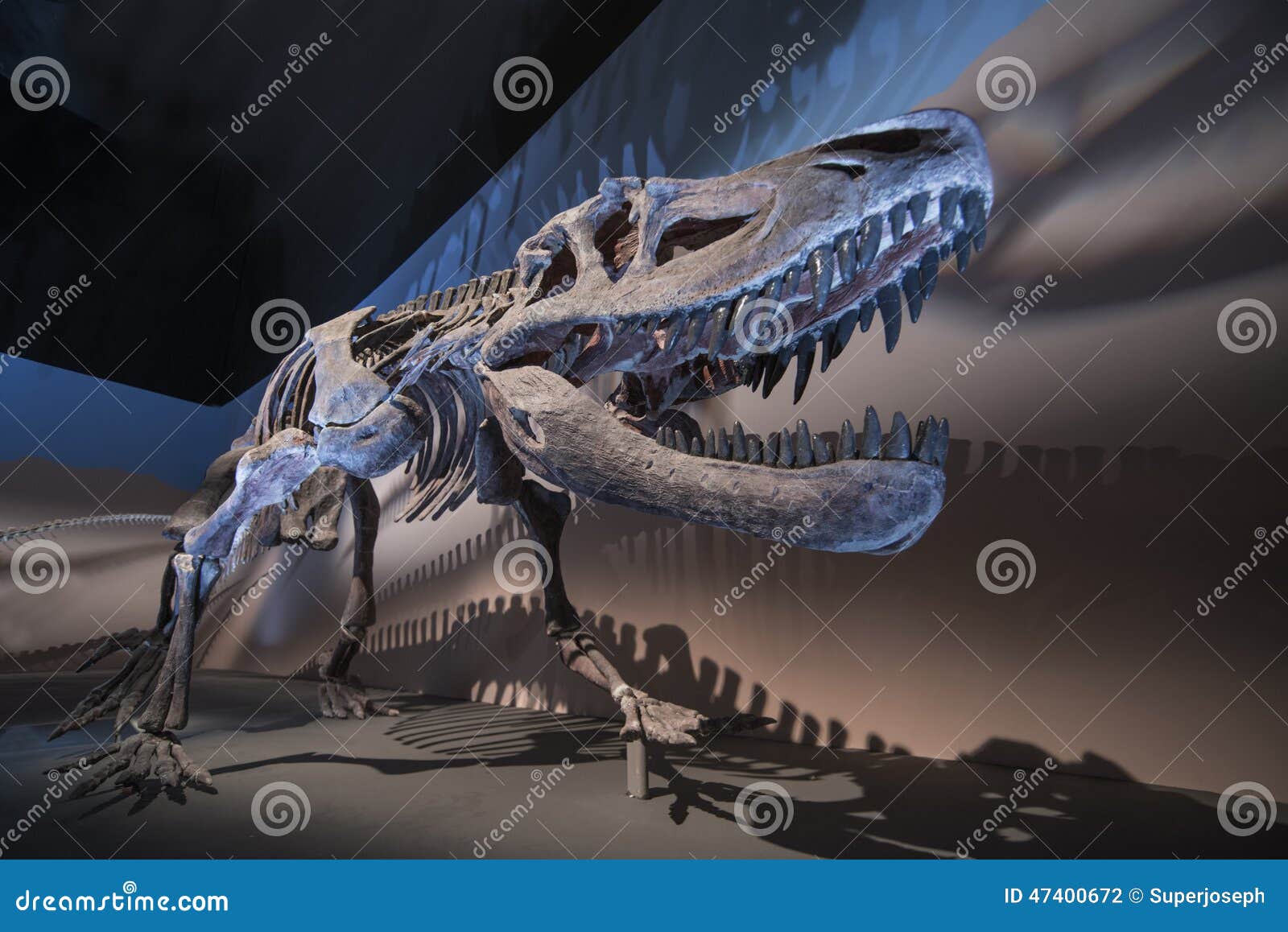 Dinosaurier-Fossilien stockfoto. Bild von ausgestorben - 47400672