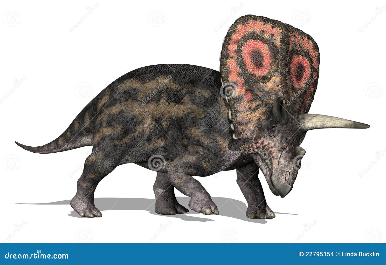 Dinosaurio de Torosaurus stock de ilustración. Ilustración de extinto ...