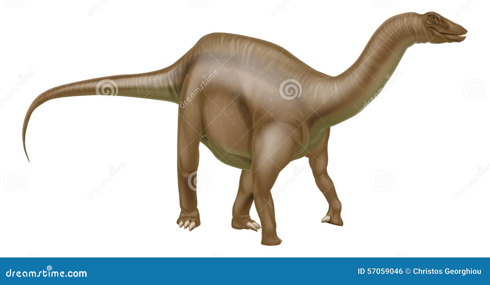 Dinosaurio del Diplodocus ilustración del vector. Ilustración de dino - 57059046