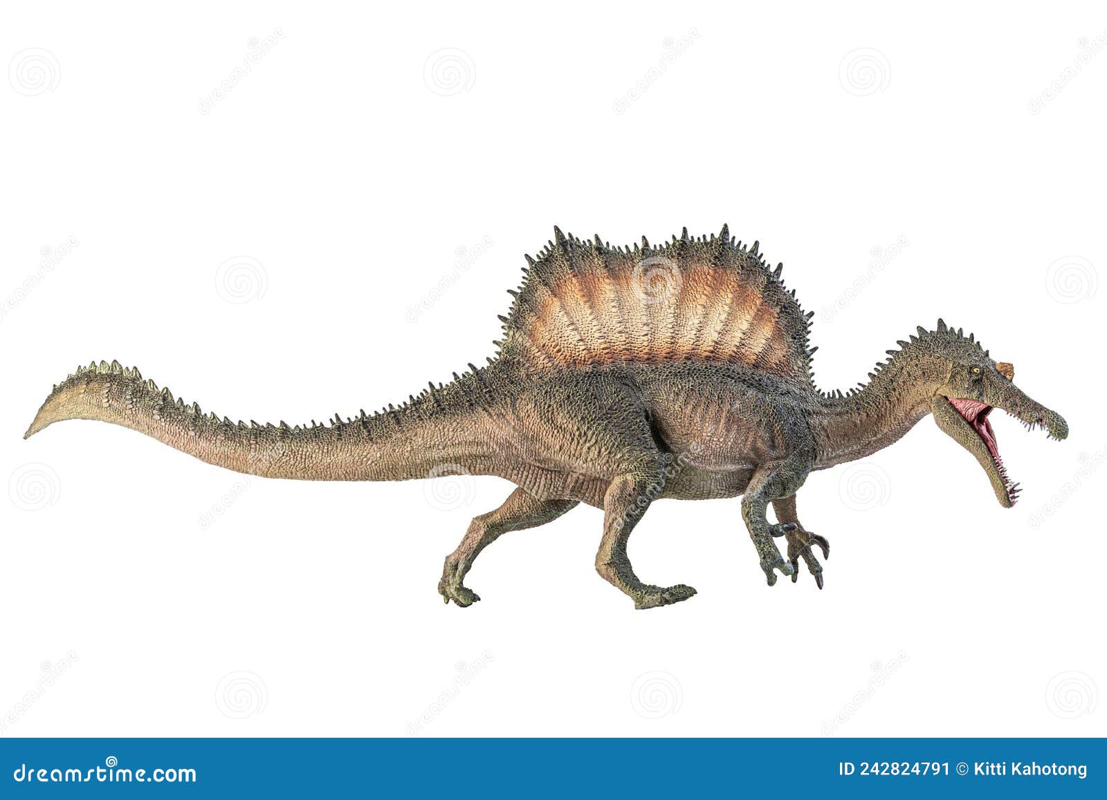 Dinosaurio Espinosaurio Sobre Fondo Blanco Imagen de archivo - Imagen ...