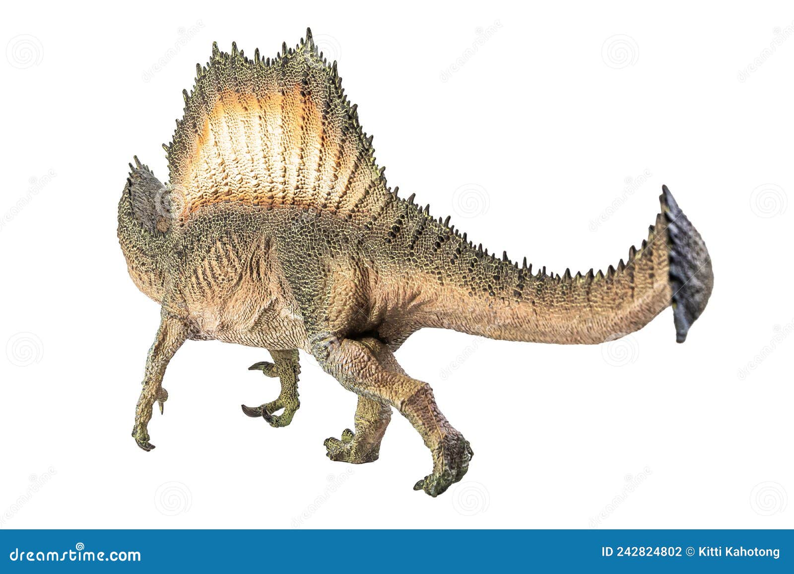 Dinosaurio Espinosaurio Sobre Fondo Blanco Foto de archivo - Imagen de ...