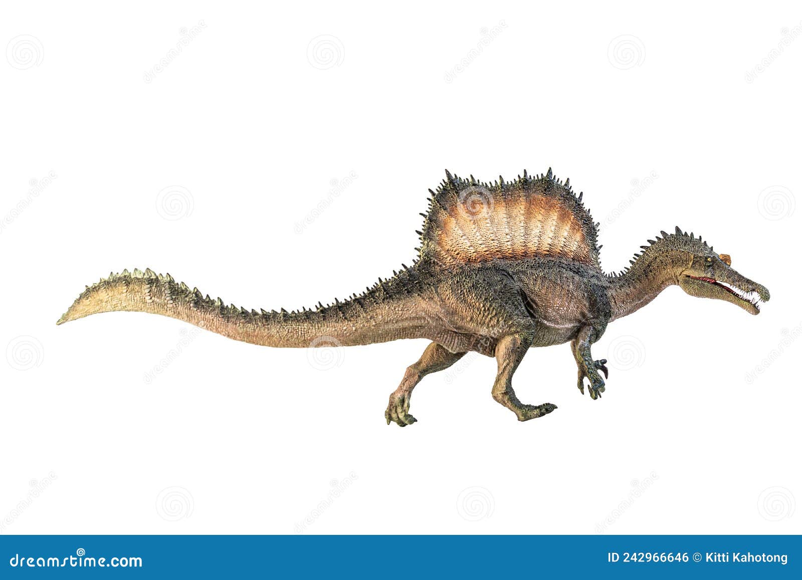 Dinosaurio Espinosaurio Sobre Fondo Blanco Foto de archivo - Imagen de ...