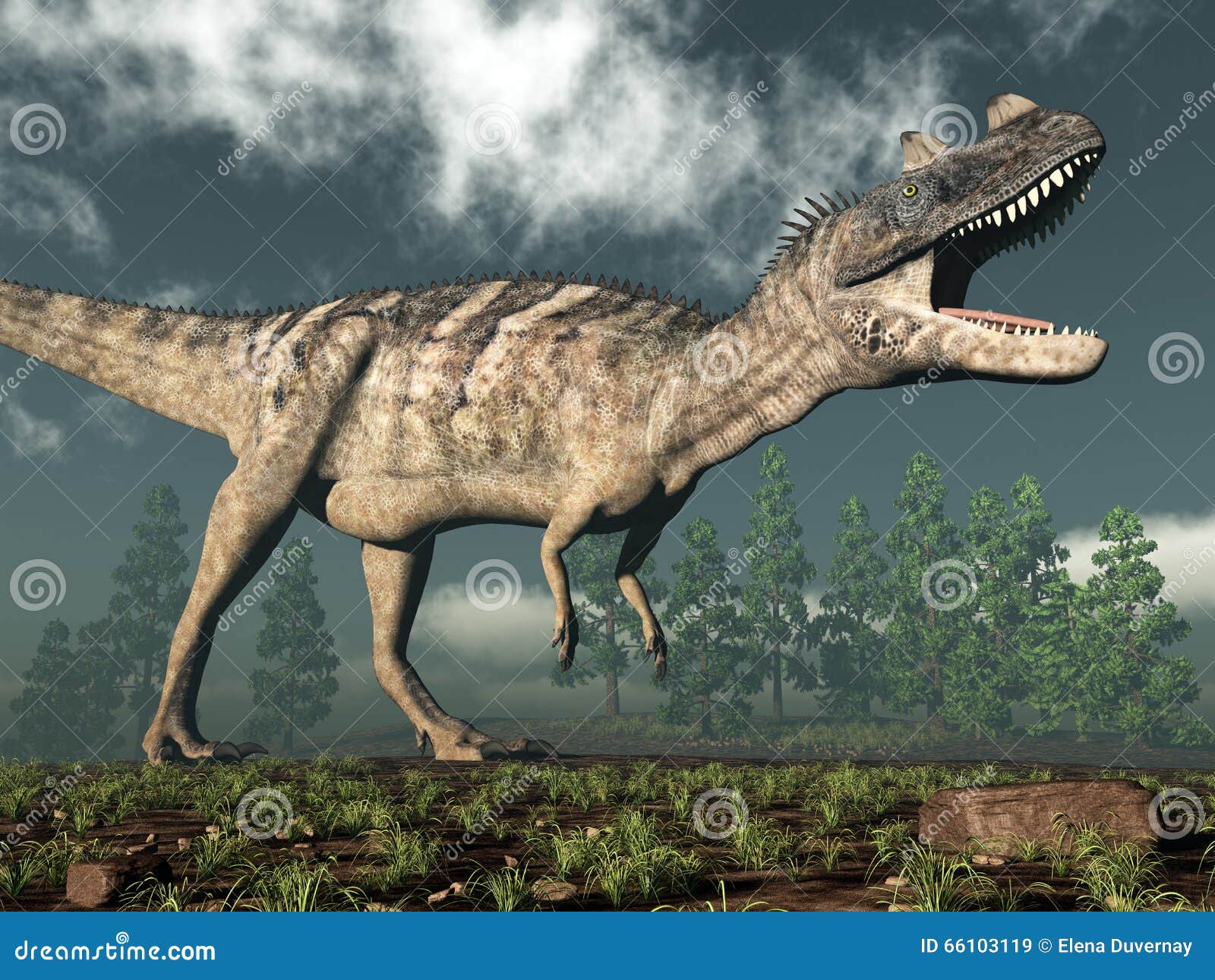 Dinosauro Del Ceratosaurus - 3D Rendono Illustrazione di Stock ...