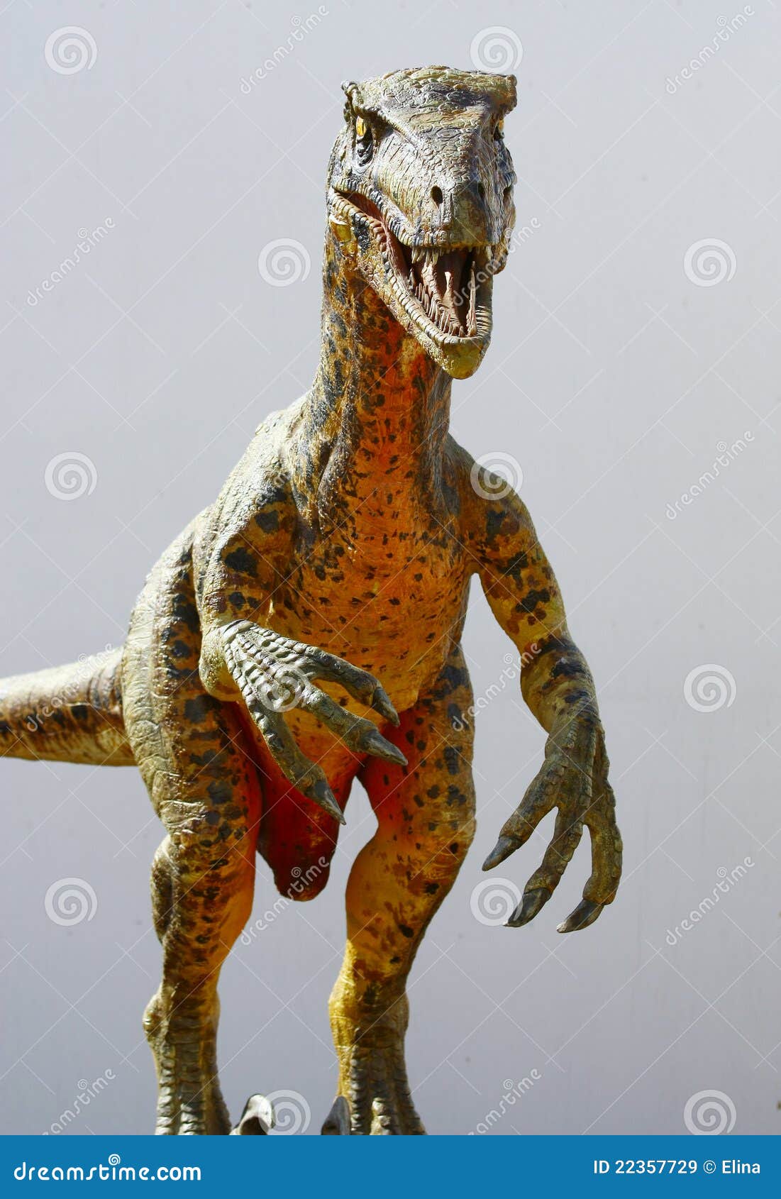Dinosauro di Deinonychus immagine stock editoriale. Immagine di ...