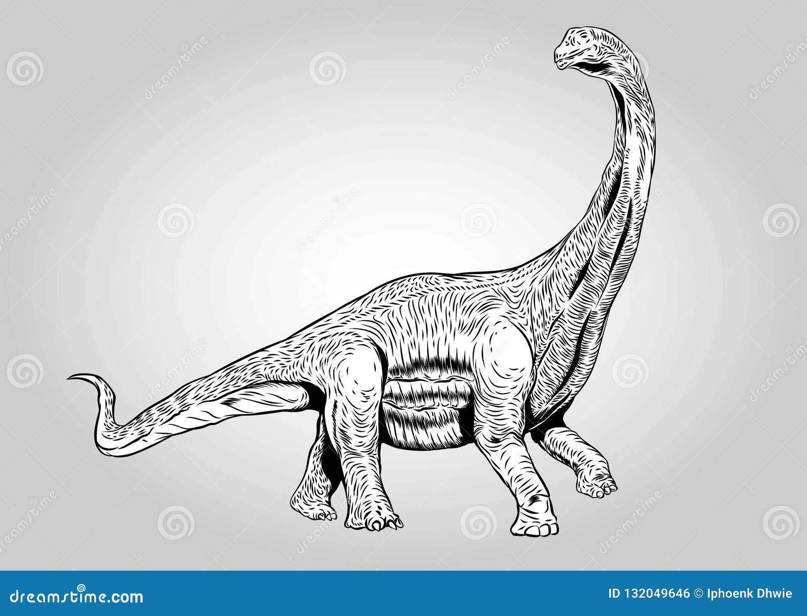 Dinosaurs Brachiosaurus Prehistoric Vector Illustration Stock ...