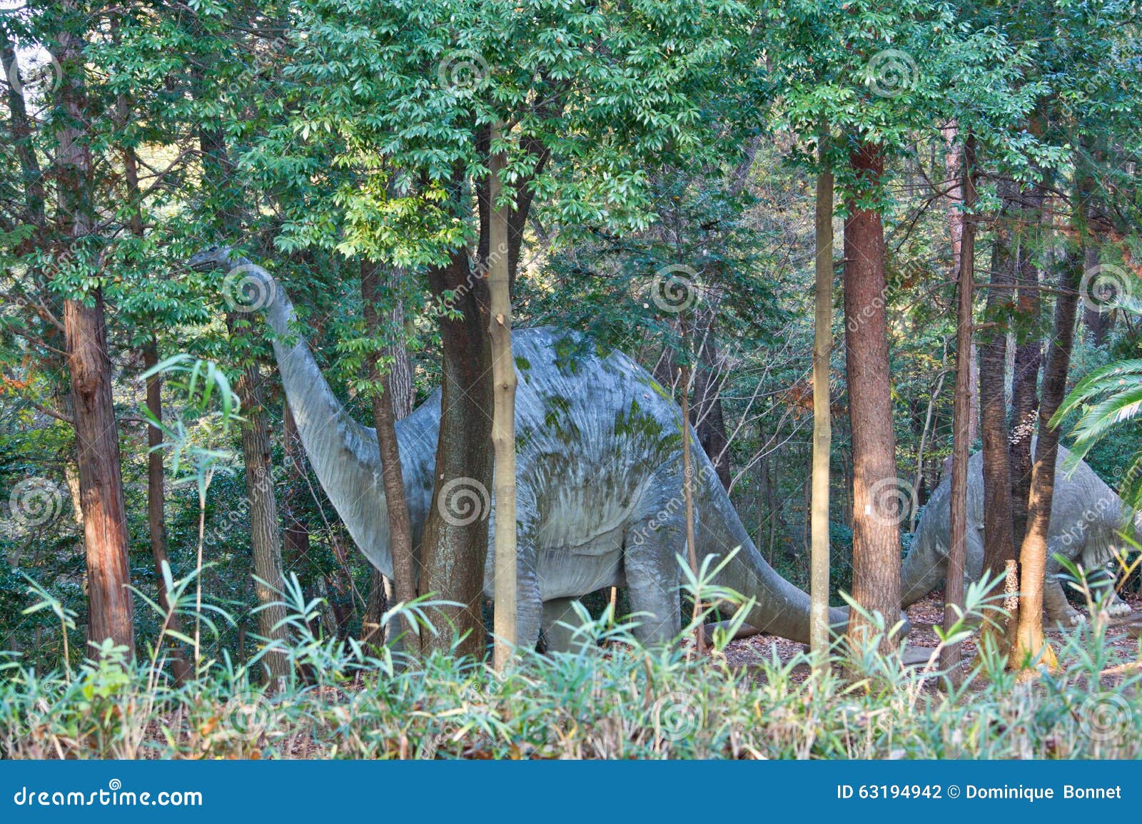 Dinosaurs in the forest stock photo. Image of archeology - 63194942