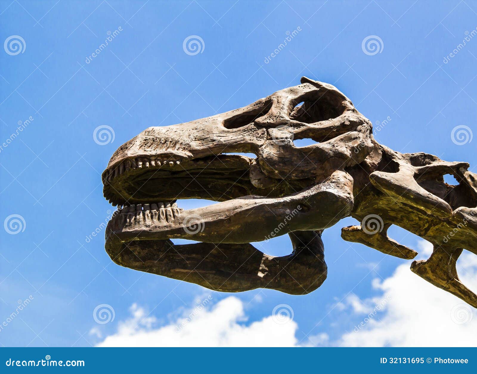 Dinosaurs Head Skull With Blue Sky Editorial Photo | CartoonDealer.com ...