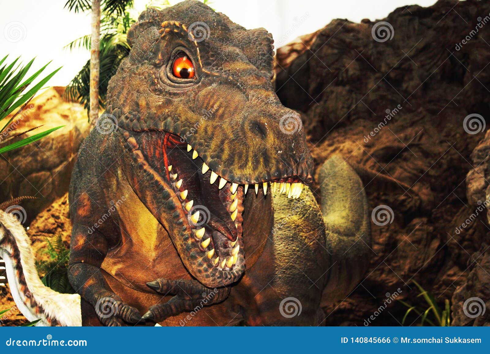 Dinosaurs Model On Star Fall In Mountain Background Royalty-Free Stock ...