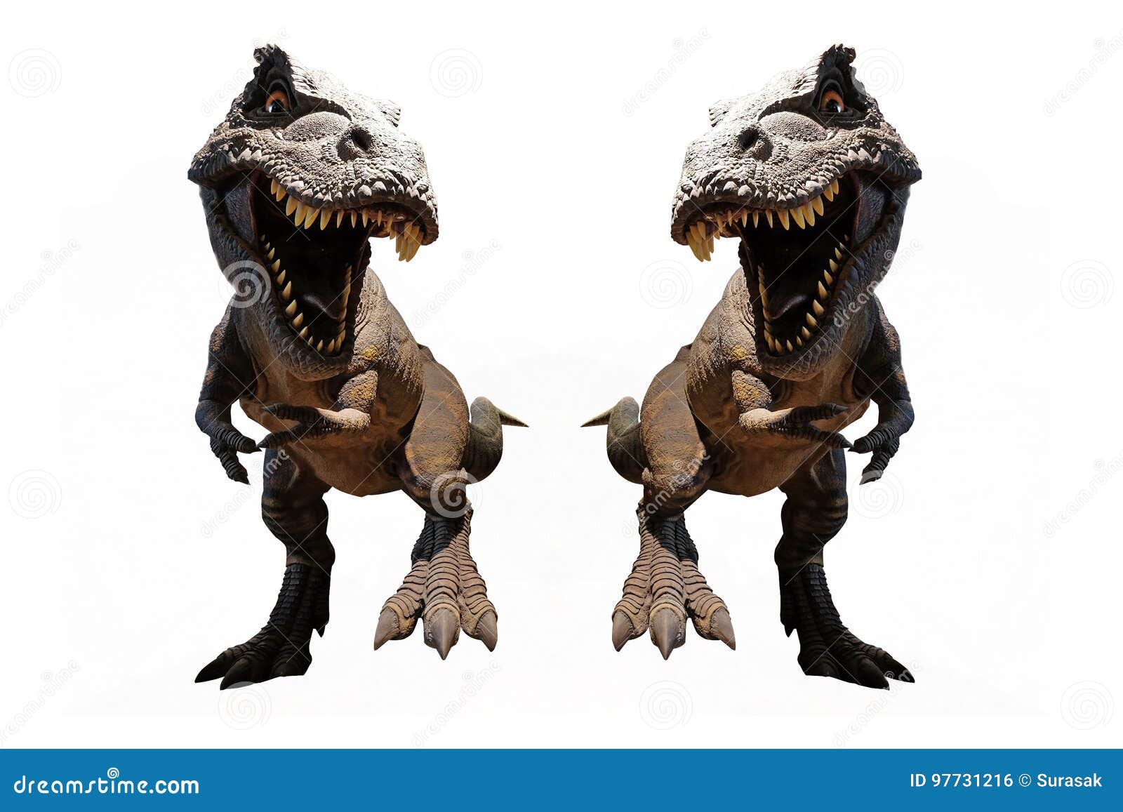 T REX Dinosaurs Model On Grass Background Stock Photography ...