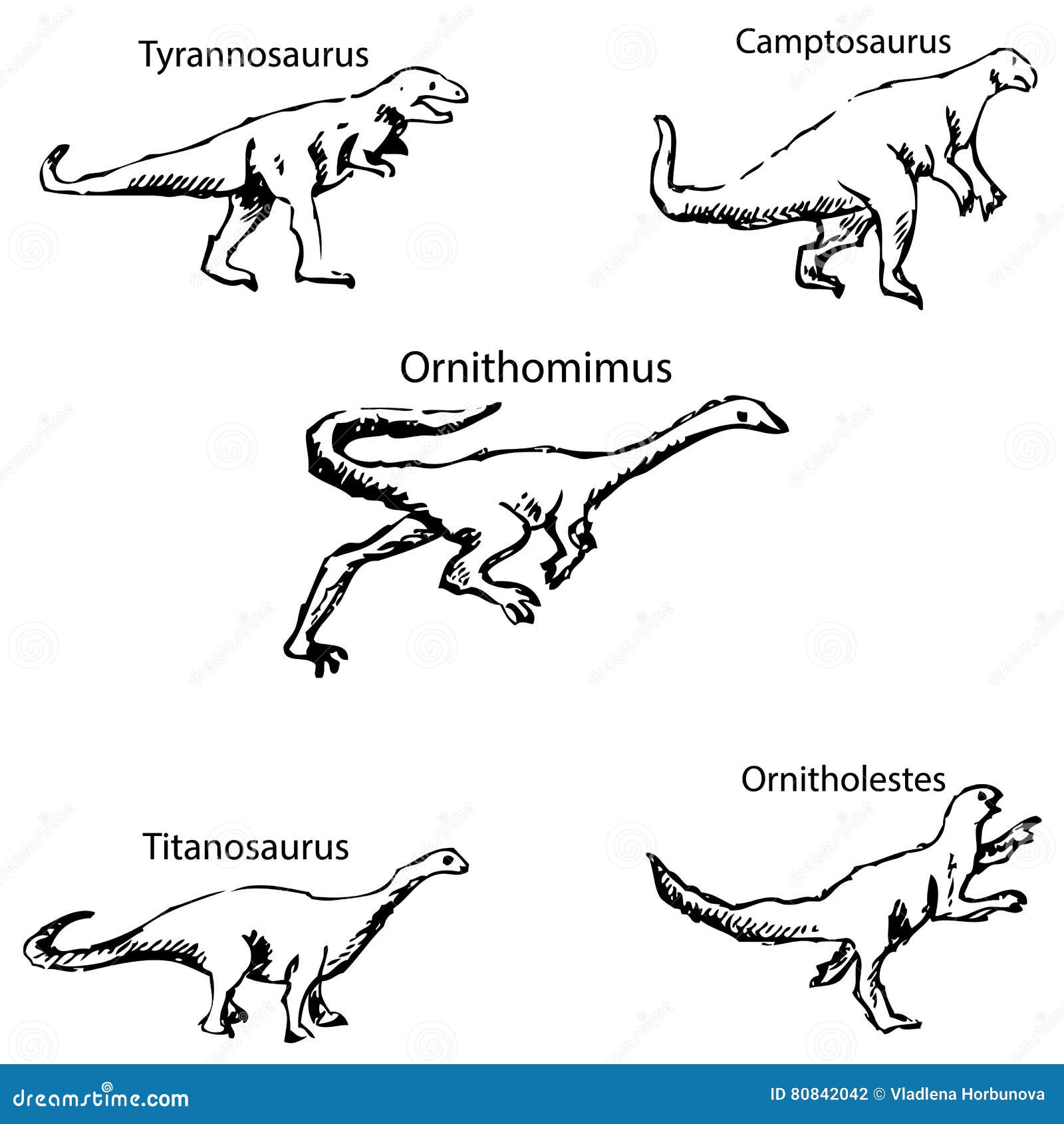 Dinosaurs With Names. Pencil Sketch By Hand Vector Illustration ...