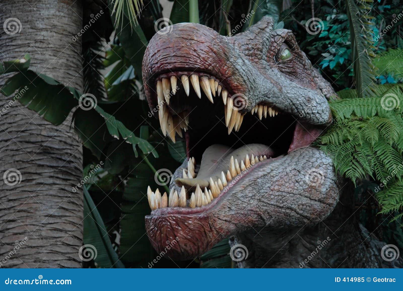 Dinosaurs open mouth stock image. Image of predator, tyranosaurus - 414985