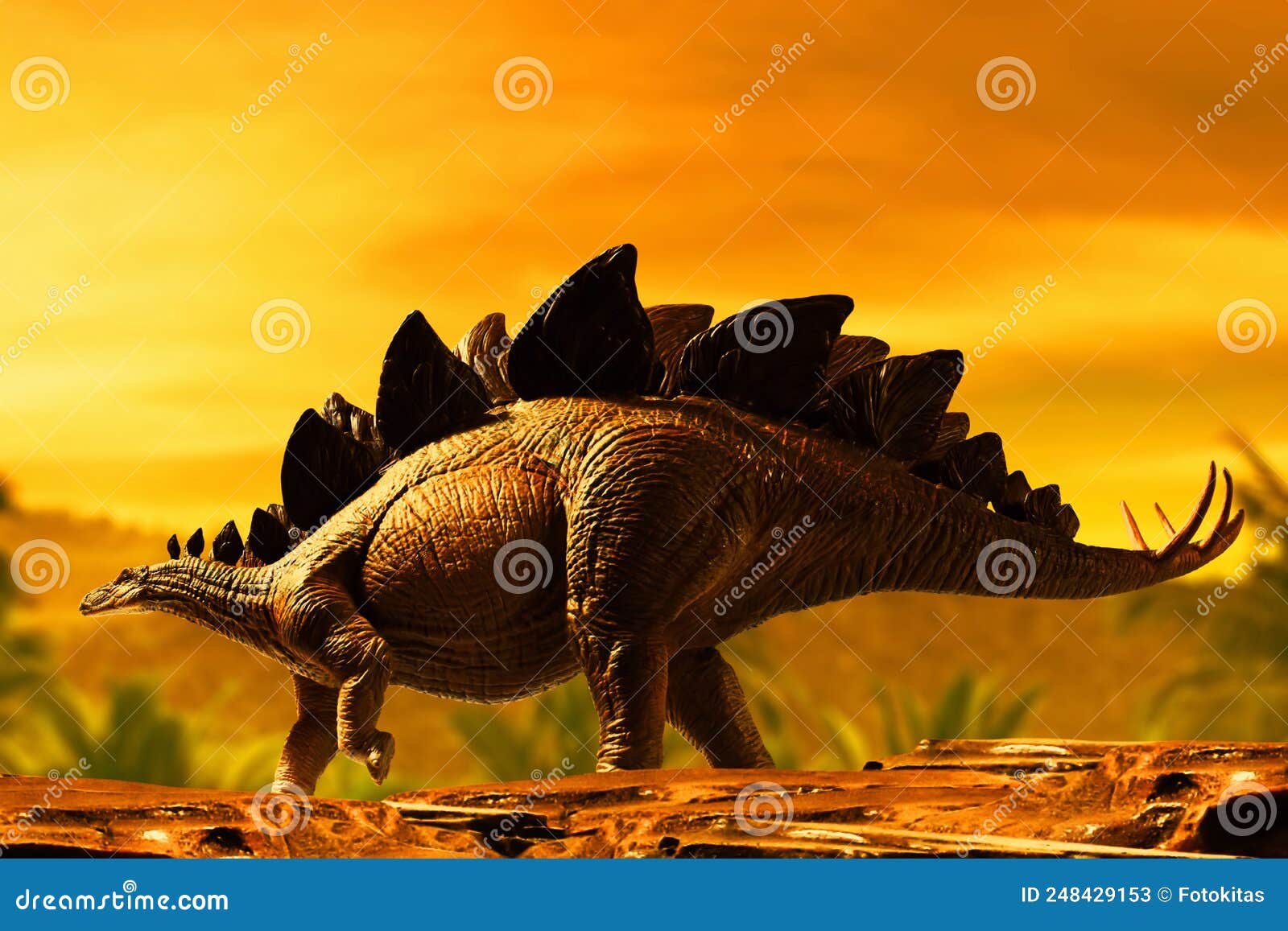 Dinosaurs, Stegosaurus in the Jungle Stock Image - Image of monster ...